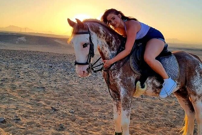 Horse Riding Marsa Alam - Sea and Desert Tour - Infinity Tours Egypt